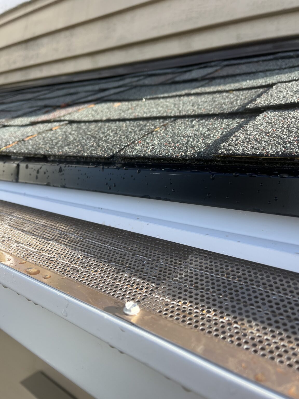 TruthGuard Gutter Protection | FreeRain